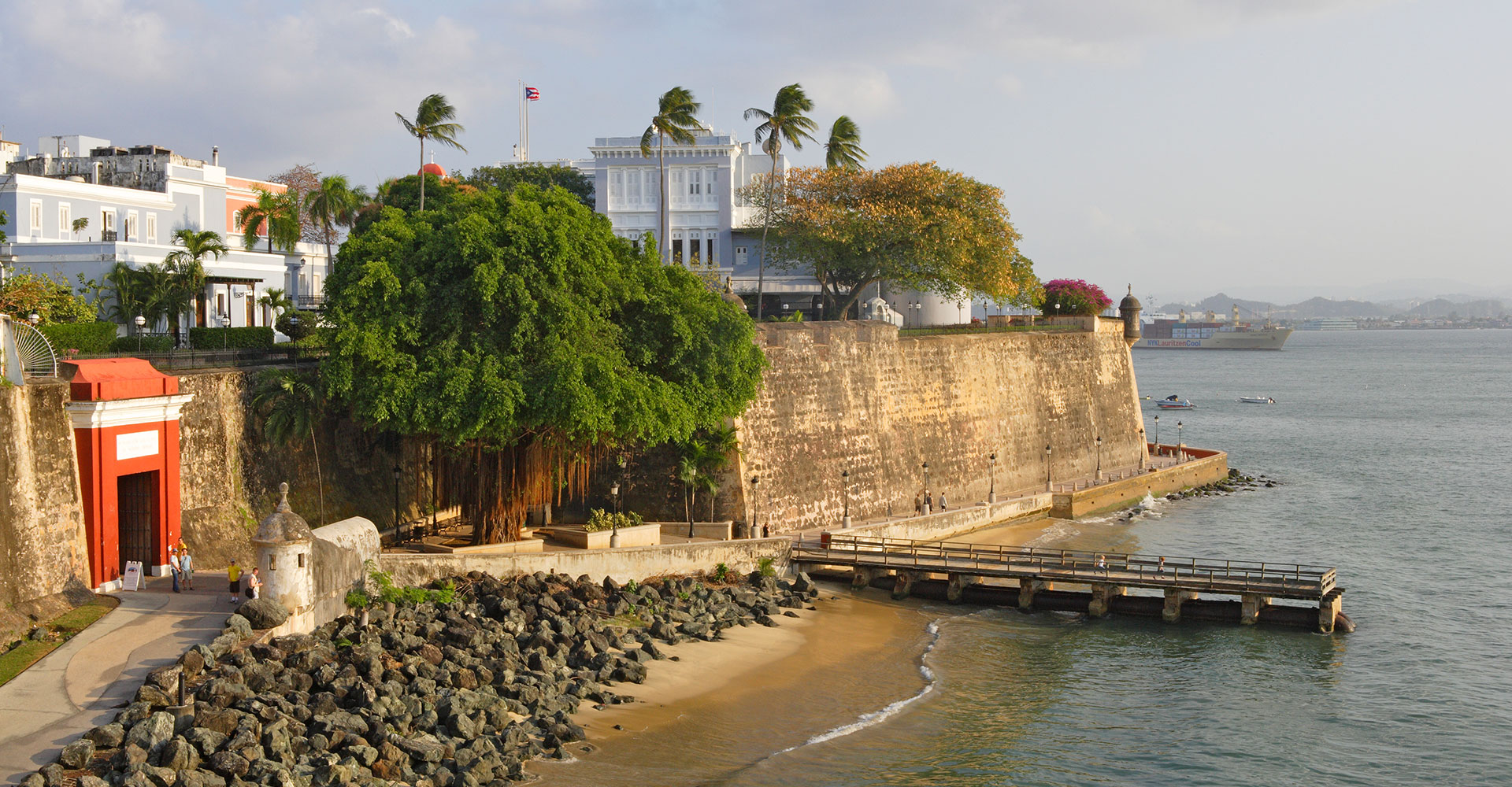 Puerto Rico - State Disability & Paid Family Leave - LiDAC